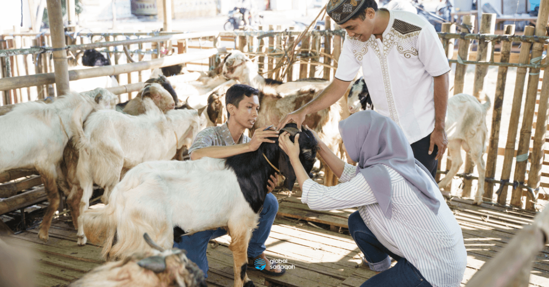 5 Misconceptions about Qurban and Eid al-Adha by Non-Muslims ...